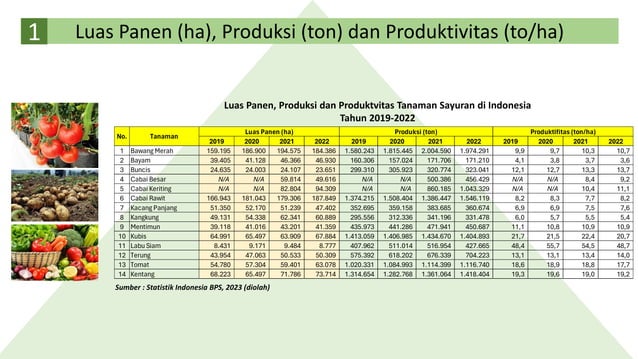 Luas Panen, Produksi dan Produktivitas Tanaman Sayuran di Indonesia 2019-2022_Hari Prasetyo ...