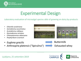 The Microalgae hub project - SaltGae Final event | PPT