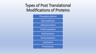 Post Translational Modification | PPT