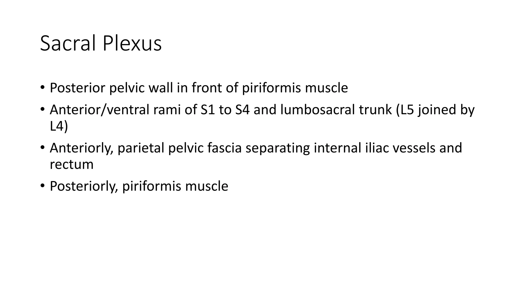 Lumbosacral plexus | PPTX