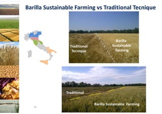Barilla Sustainable Farming: a Smart Agriculture Tool in the Climate ...