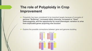 lucas_polyploidy_.pptx