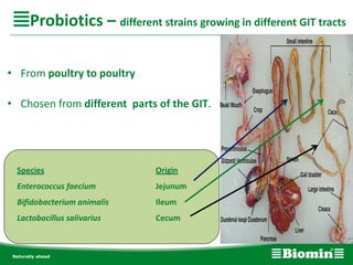 Luca Vandi presentation | PDF