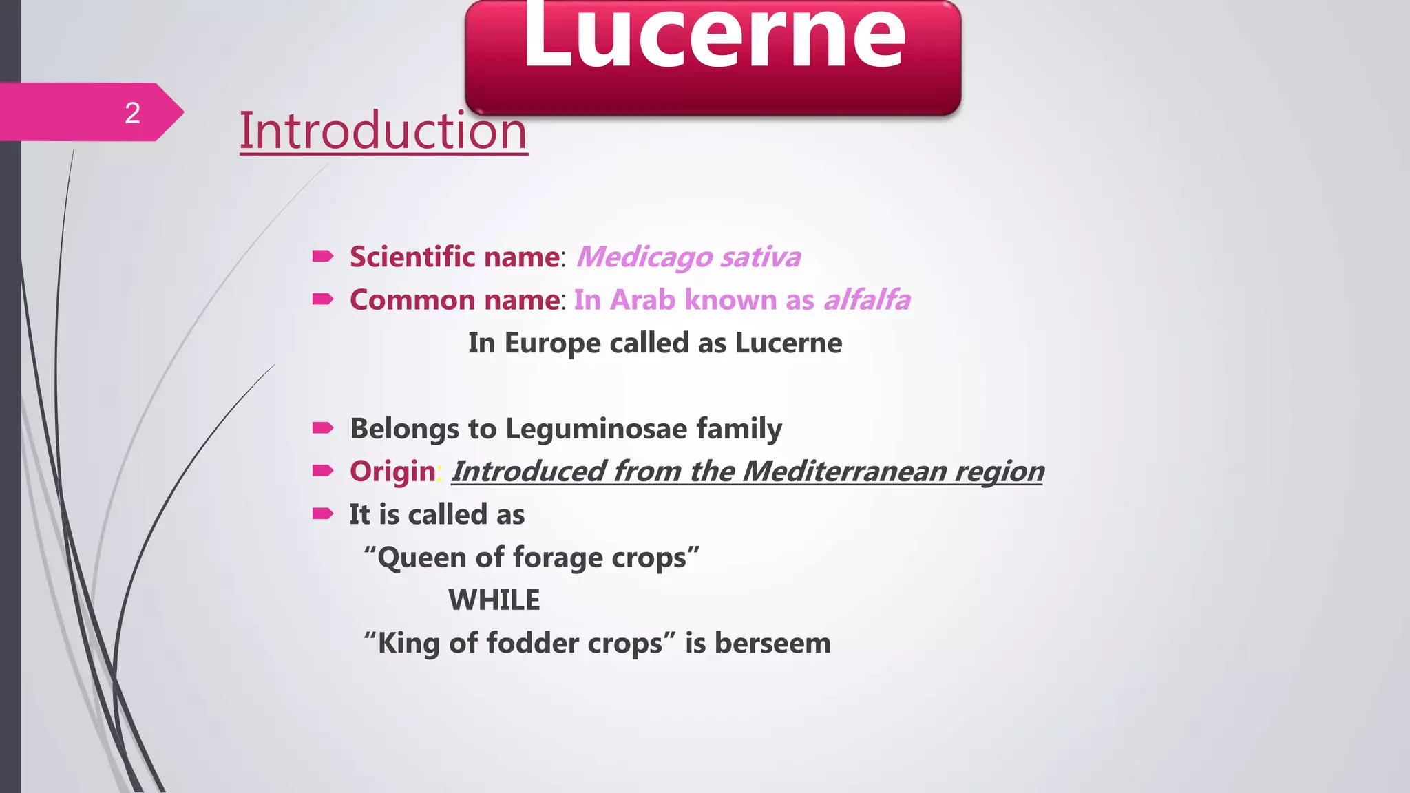 Lucerne animal fodder | PPTX