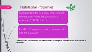 Lucerne animal fodder | PPTX