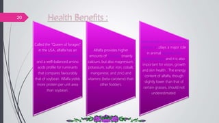 Lucerne animal fodder | PPTX