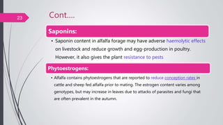 Lucerne animal fodder | PPTX