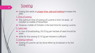 Lucerne animal fodder | PPTX