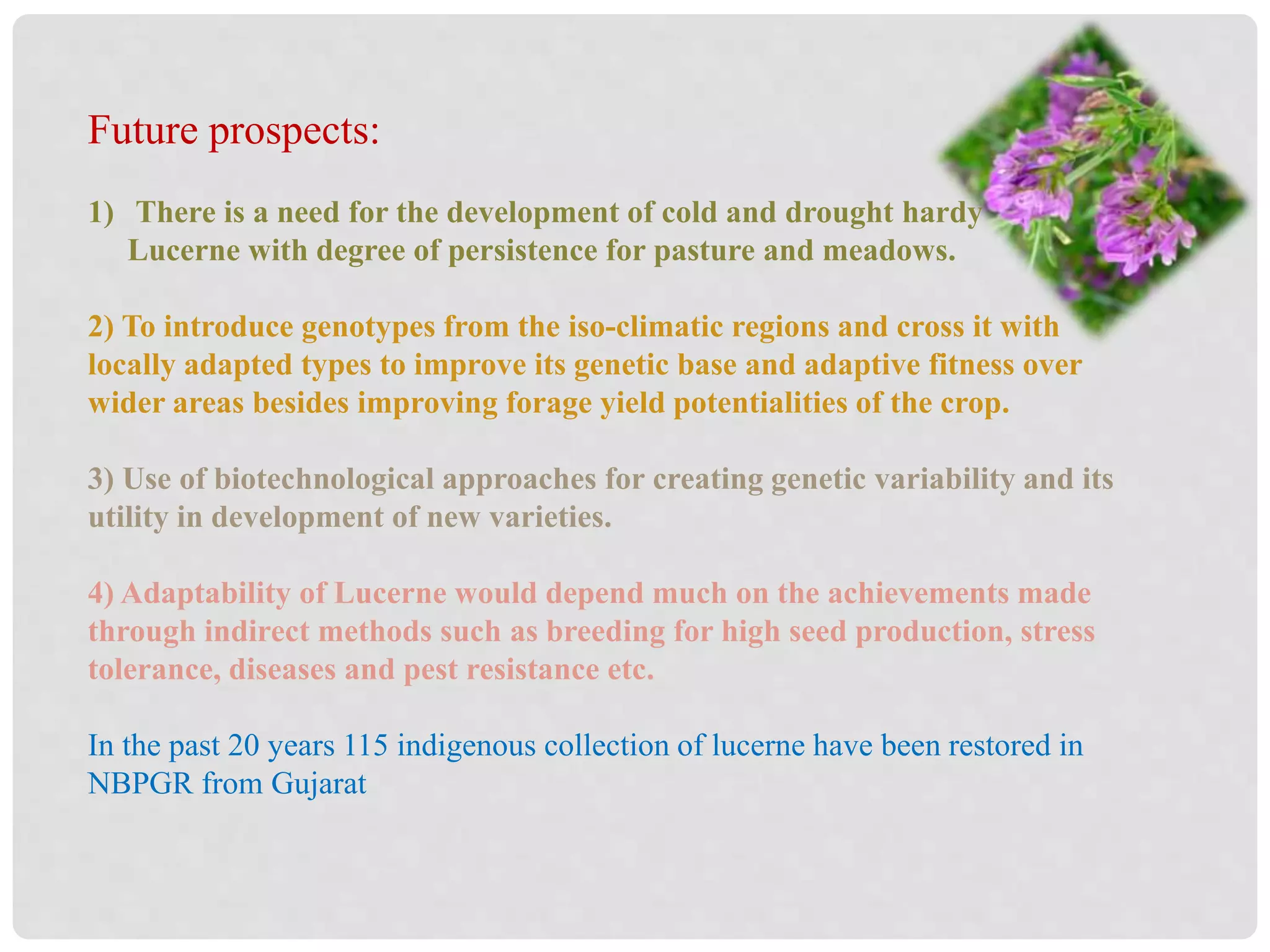 Lucerne breeding - methods, progress and constraints | PPTX