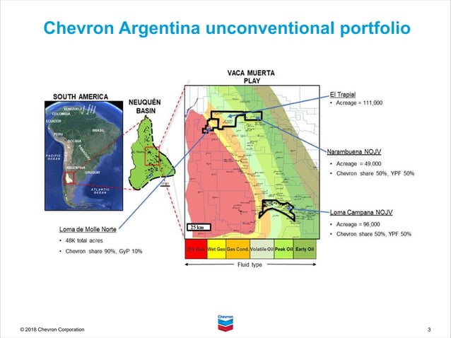SRP EVOLUTION FOR VACA MUERTA'S LOW GAS/OIL RATIO WELLS | PDF | Track ...