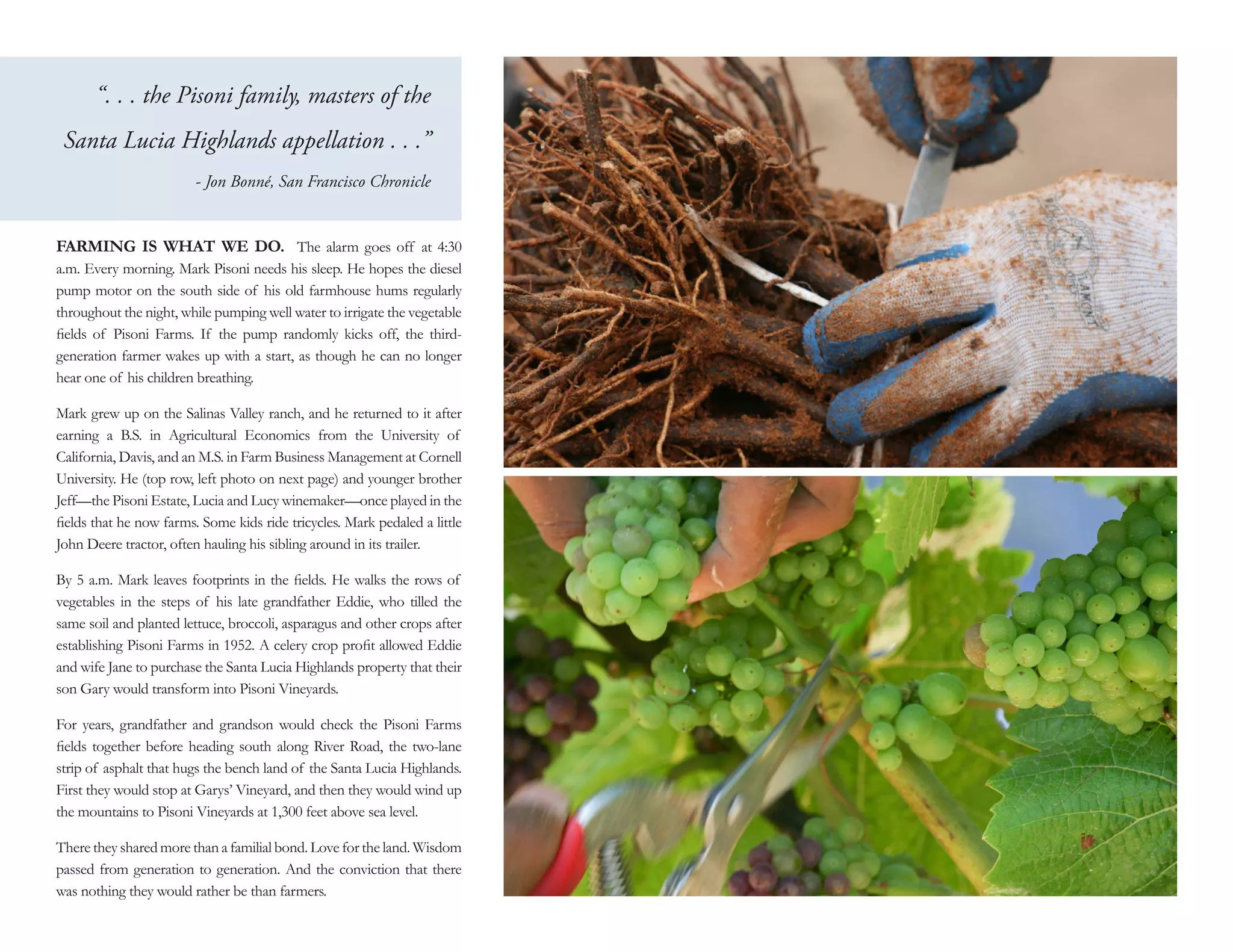 Lucia Vineyards, Spring 2015: Real Farming, Real Family, Real Wine ...