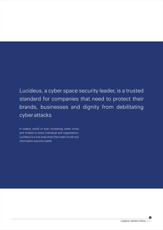 Lucideus company profile 2014 | PDF