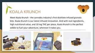 KOALA X Lucid Green BT Training | PPT