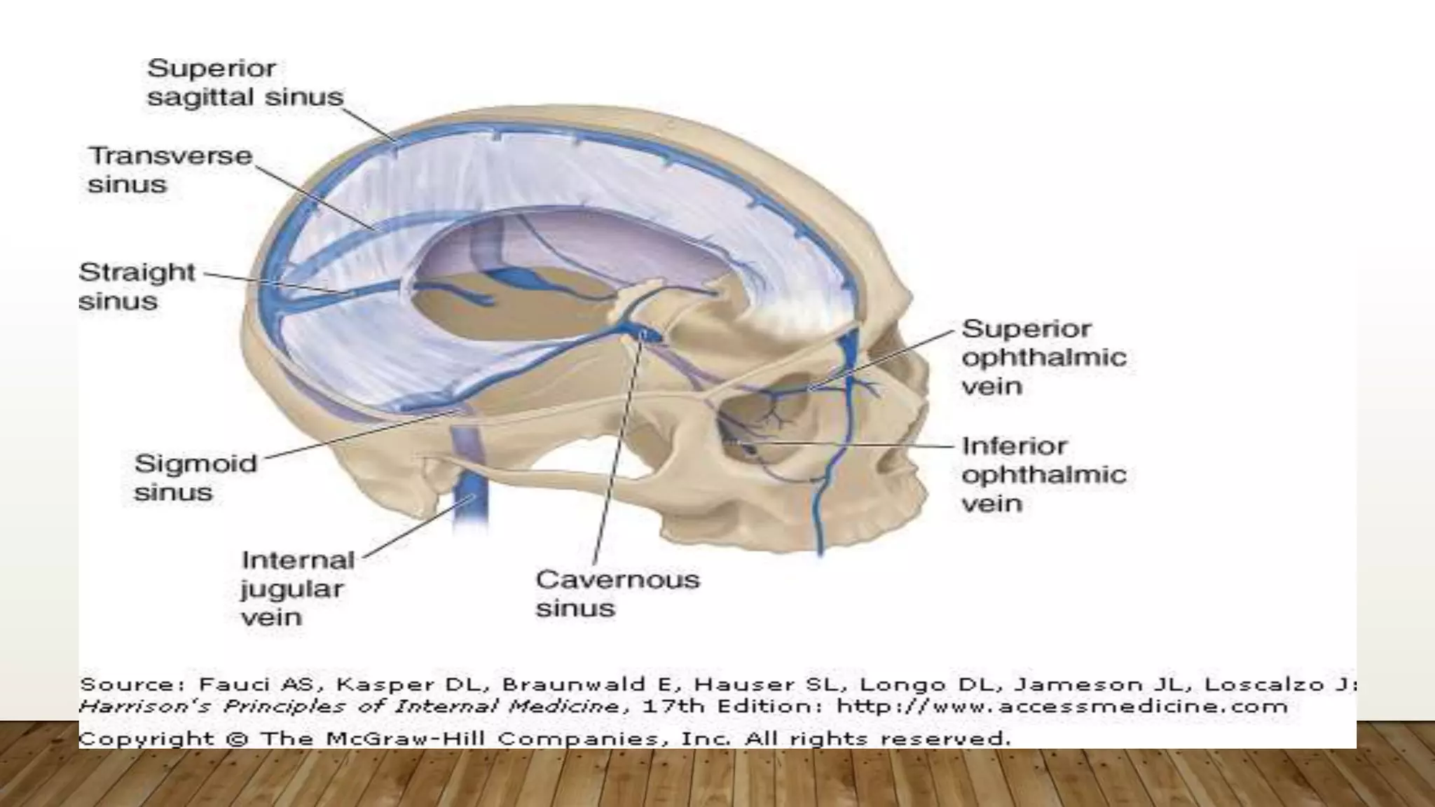 lucid interval and its importance in trauma and mental health | PPTX