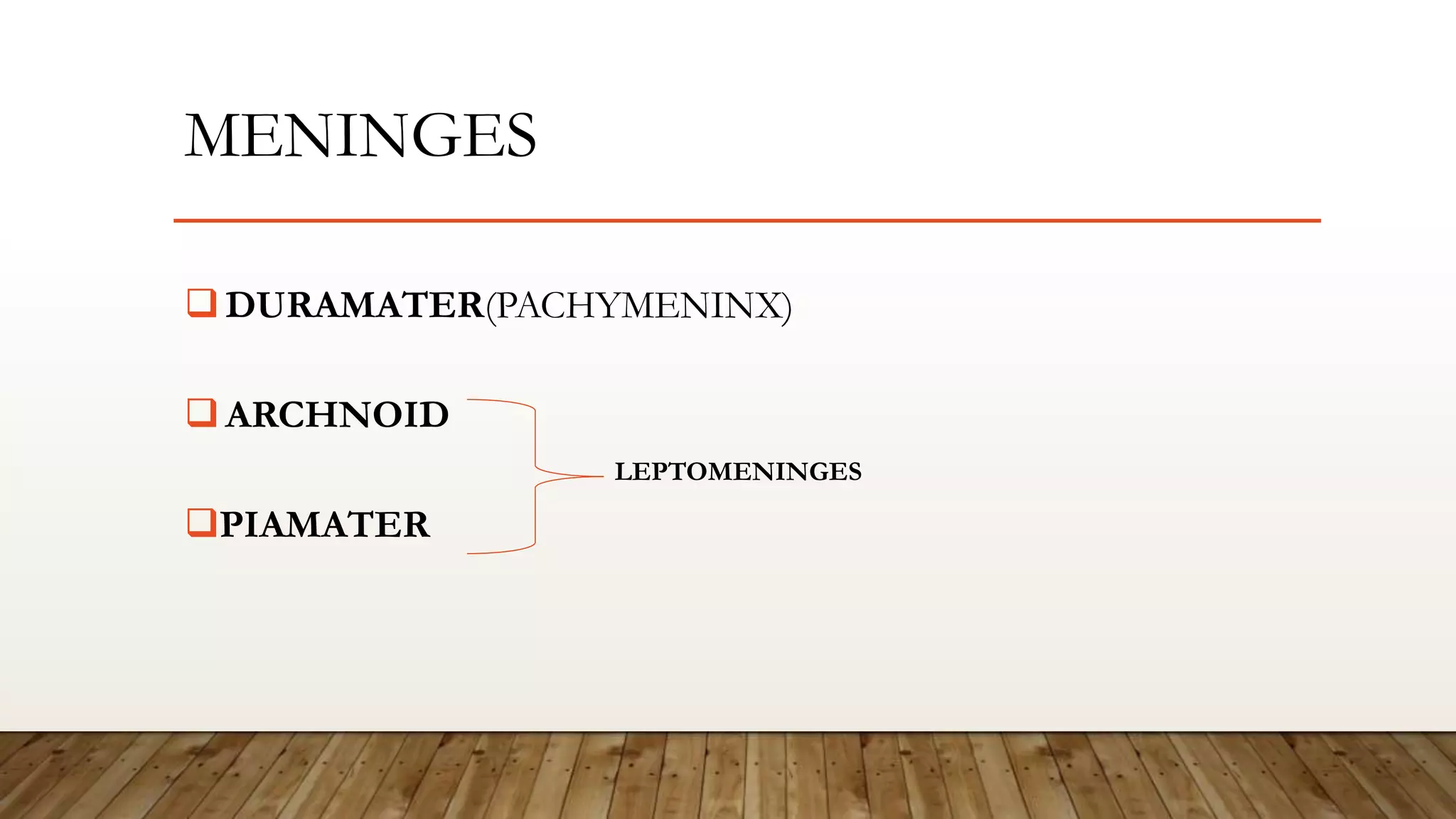 lucid interval and its importance in trauma and mental health | PPTX