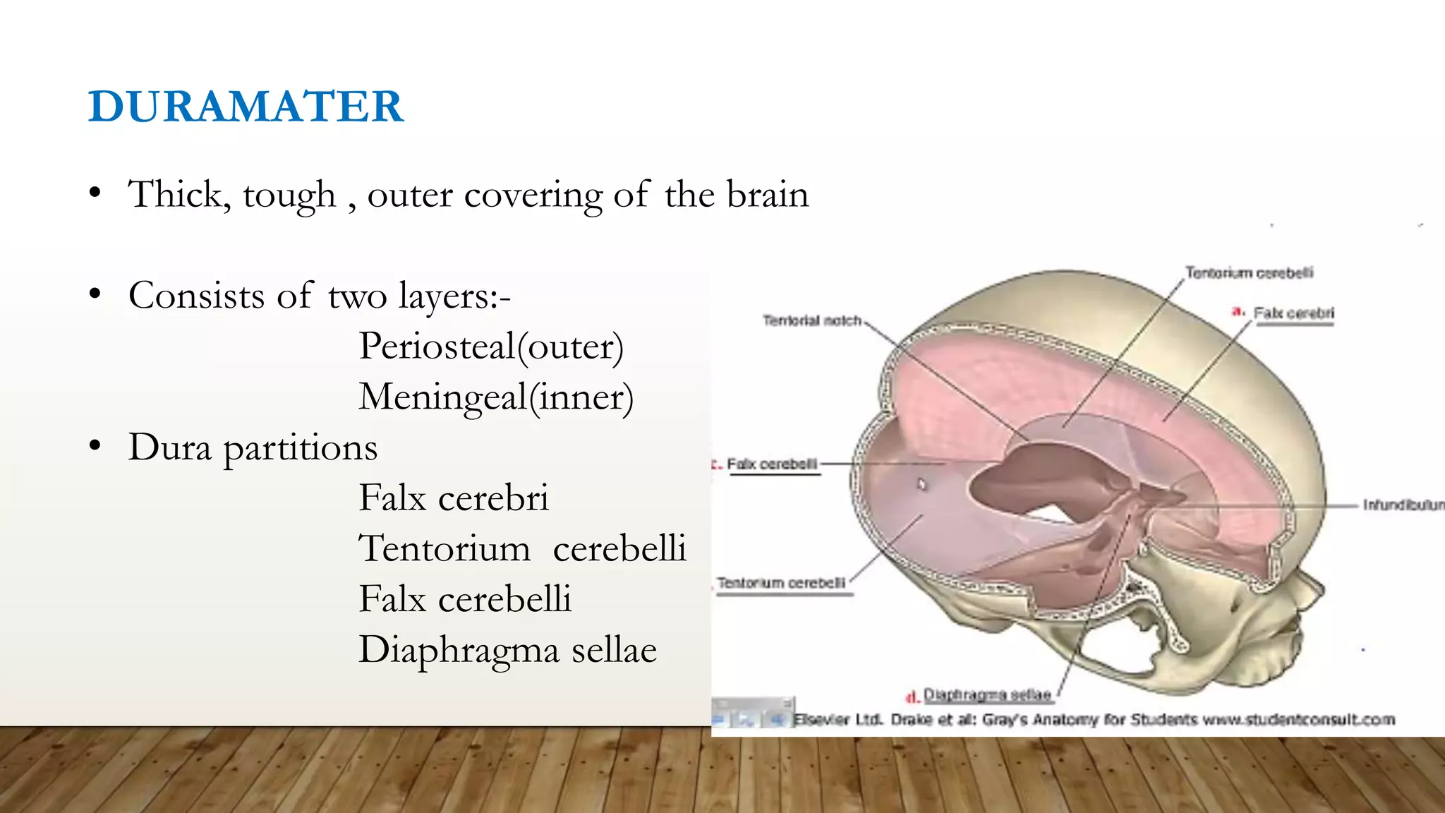 lucid interval and its importance in trauma and mental health | PPTX