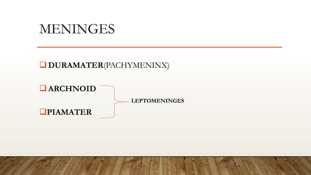 lucid interval and its importance in trauma and mental health | PPTX ...