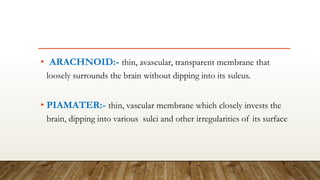 lucid interval and its importance in trauma and mental health | PPTX