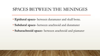 lucid interval and its importance in trauma and mental health | PPTX