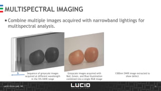 LUCID Vision Labs - Enhance Your Industrial Application with LUCID’s ...