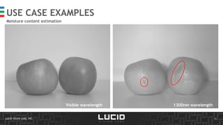 LUCID Vision Labs - Enhance Your Industrial Application with LUCID’s ...