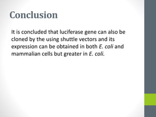 PROJECT ON LUCIFERASE GENE CLONING | PPTX