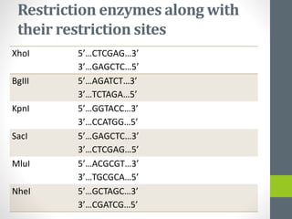 PROJECT ON LUCIFERASE GENE CLONING | PPT