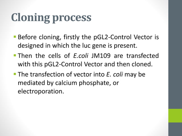 PROJECT ON LUCIFERASE GENE CLONING | PPT