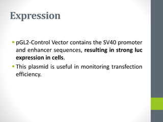 PROJECT ON LUCIFERASE GENE CLONING | PPT