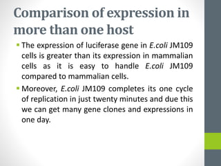 PROJECT ON LUCIFERASE GENE CLONING | PPTX