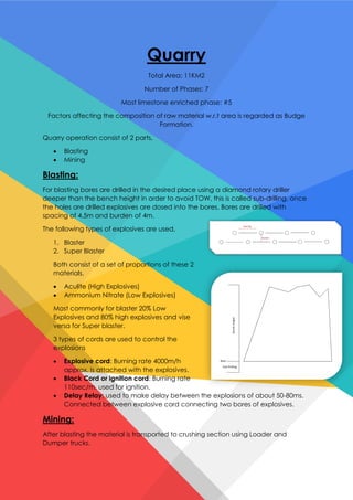 Report of Cement Industry | PDF