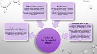 Lucru individual bazele diplomatiei | PPTX