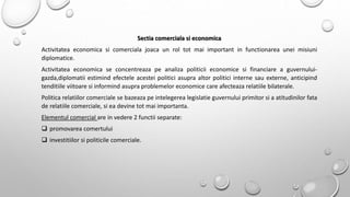 Lucru individual bazele diplomatiei | PPTX