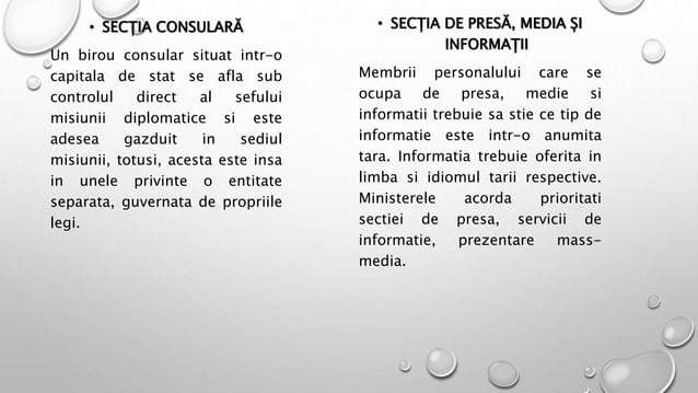 Lucru individual bazele diplomatiei | PPTX