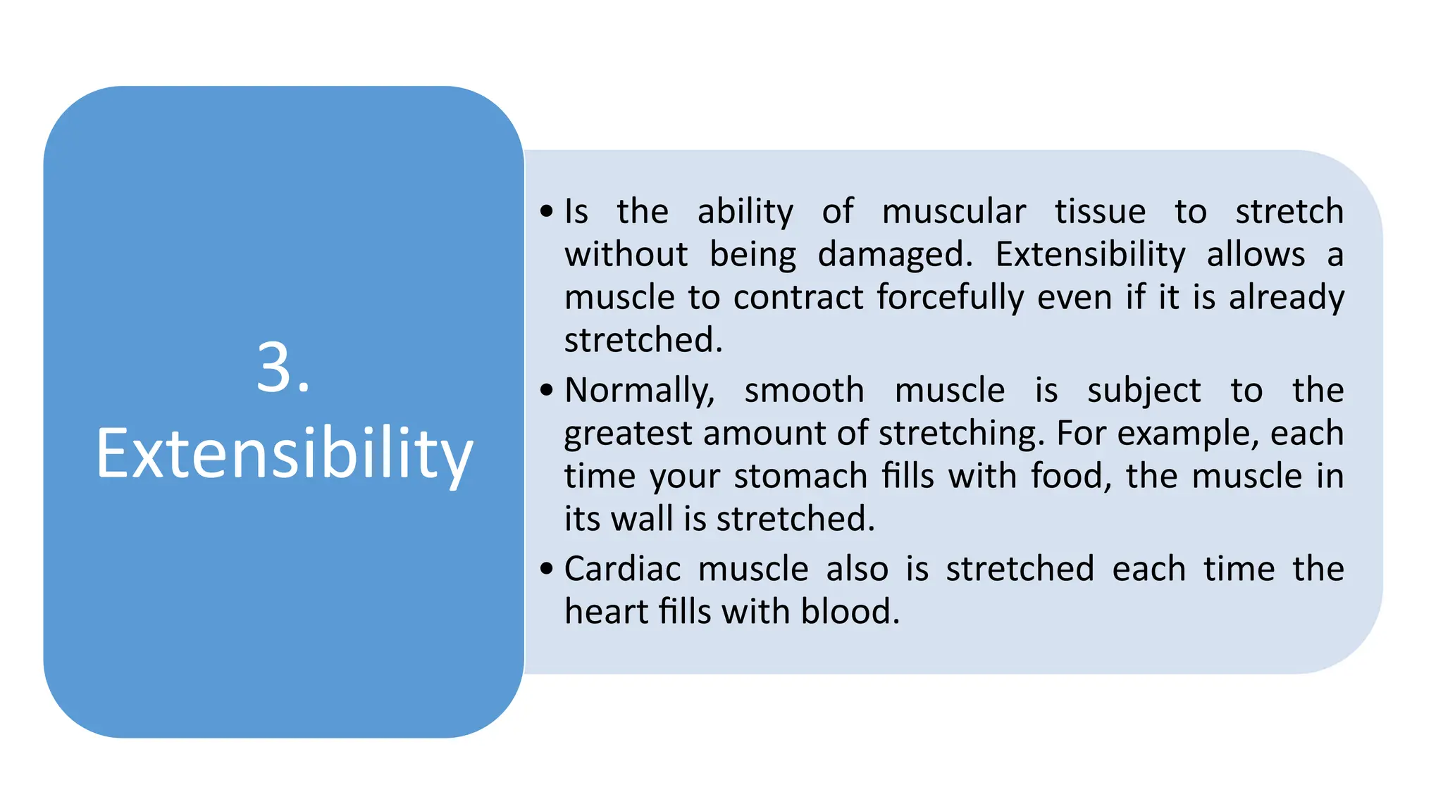 luctur muscular tissue physiology .pptx