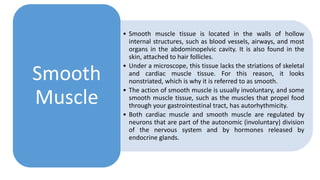luctur muscular tissue physiology .pptx