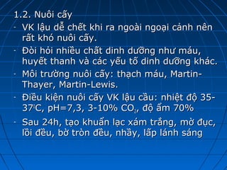 Lậu cầu Vmu ĐH Y Khoa Vinh | PPT