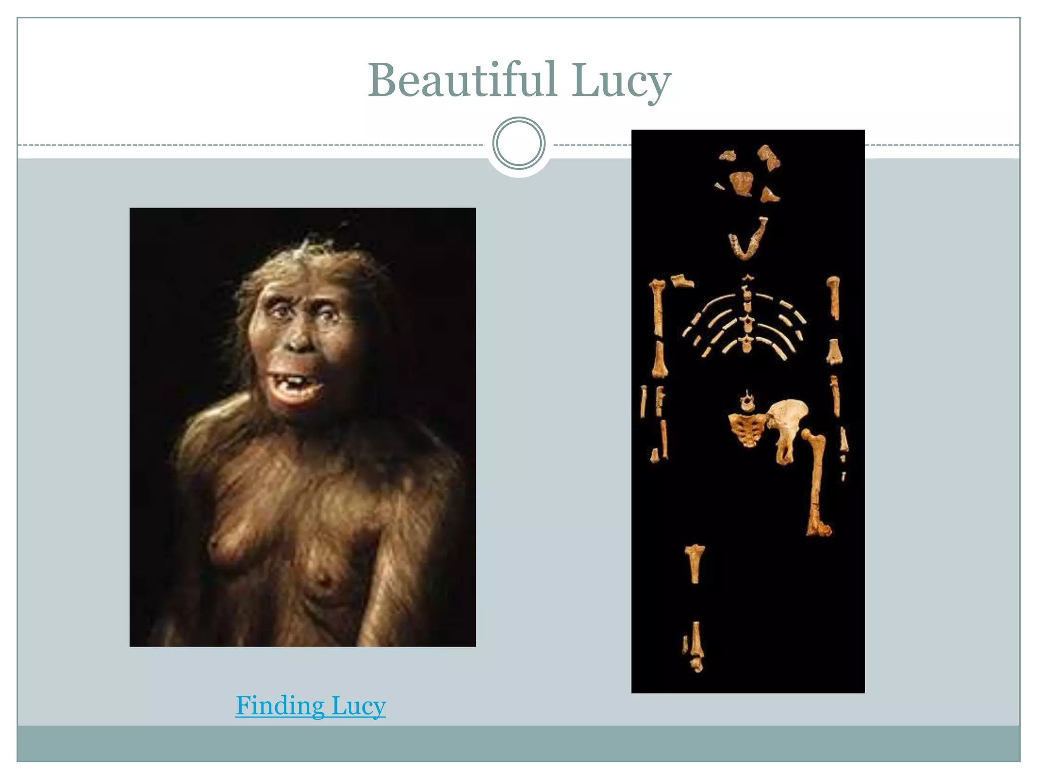 Lucy Presentation | PPTX