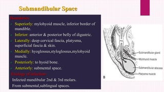 Ludwig's angina | PPTX