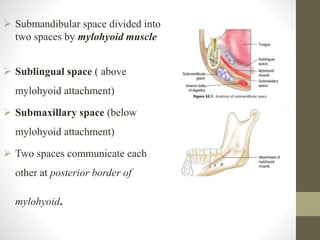 Ludwig`s Angina history and examination and management.pptx