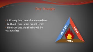 Fire Ecology | PPTX