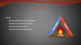 Fire Ecology | PPTX