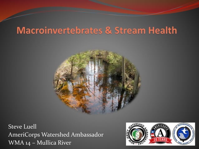 Macroinvertebrates & Stream Health | PPT