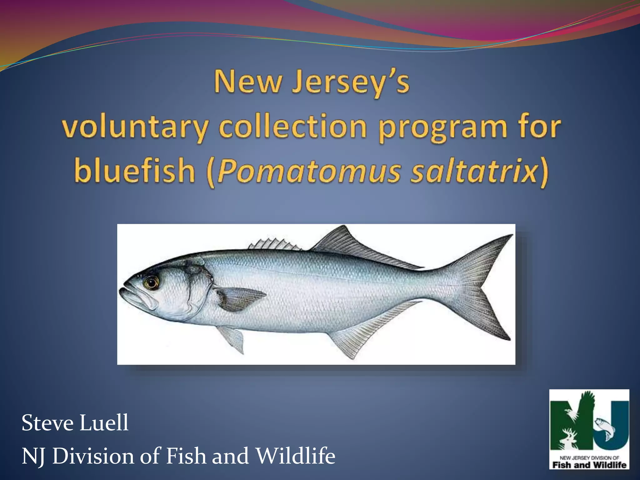 New Jersey's voluntary collection program for bluefish (Pomatomus ...