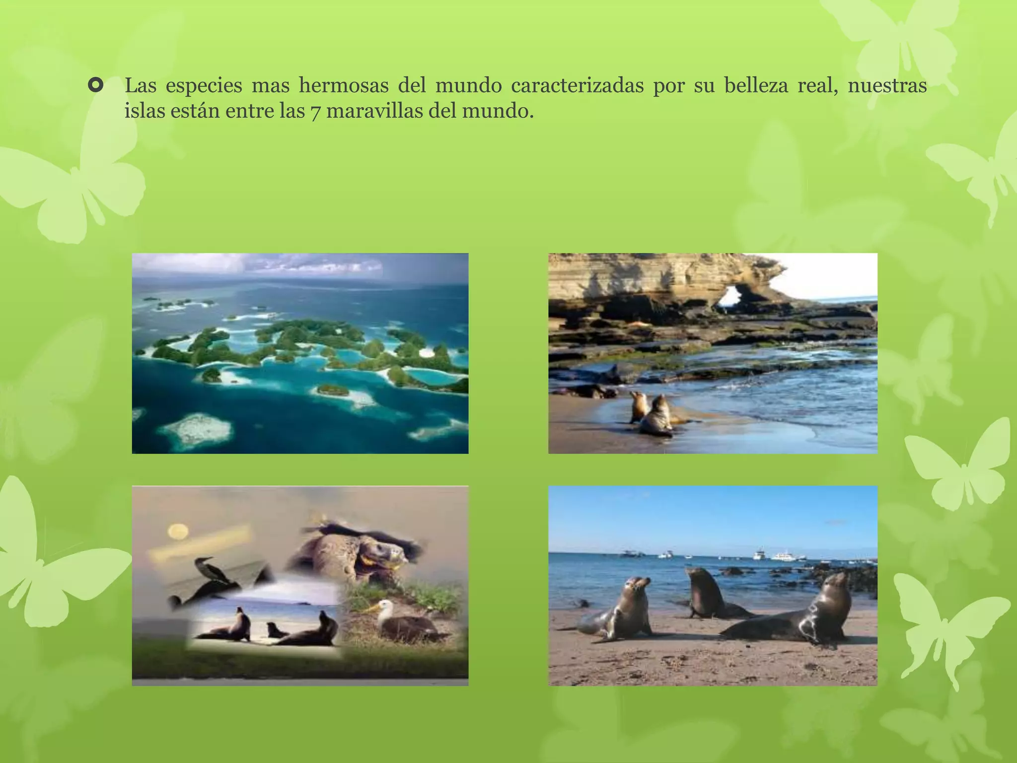 Lugares turisticos de la región insular ecuatoriana | PPT