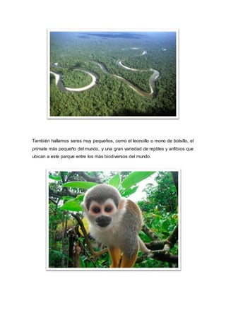 Lugares turisticos del ecuador | DOCX