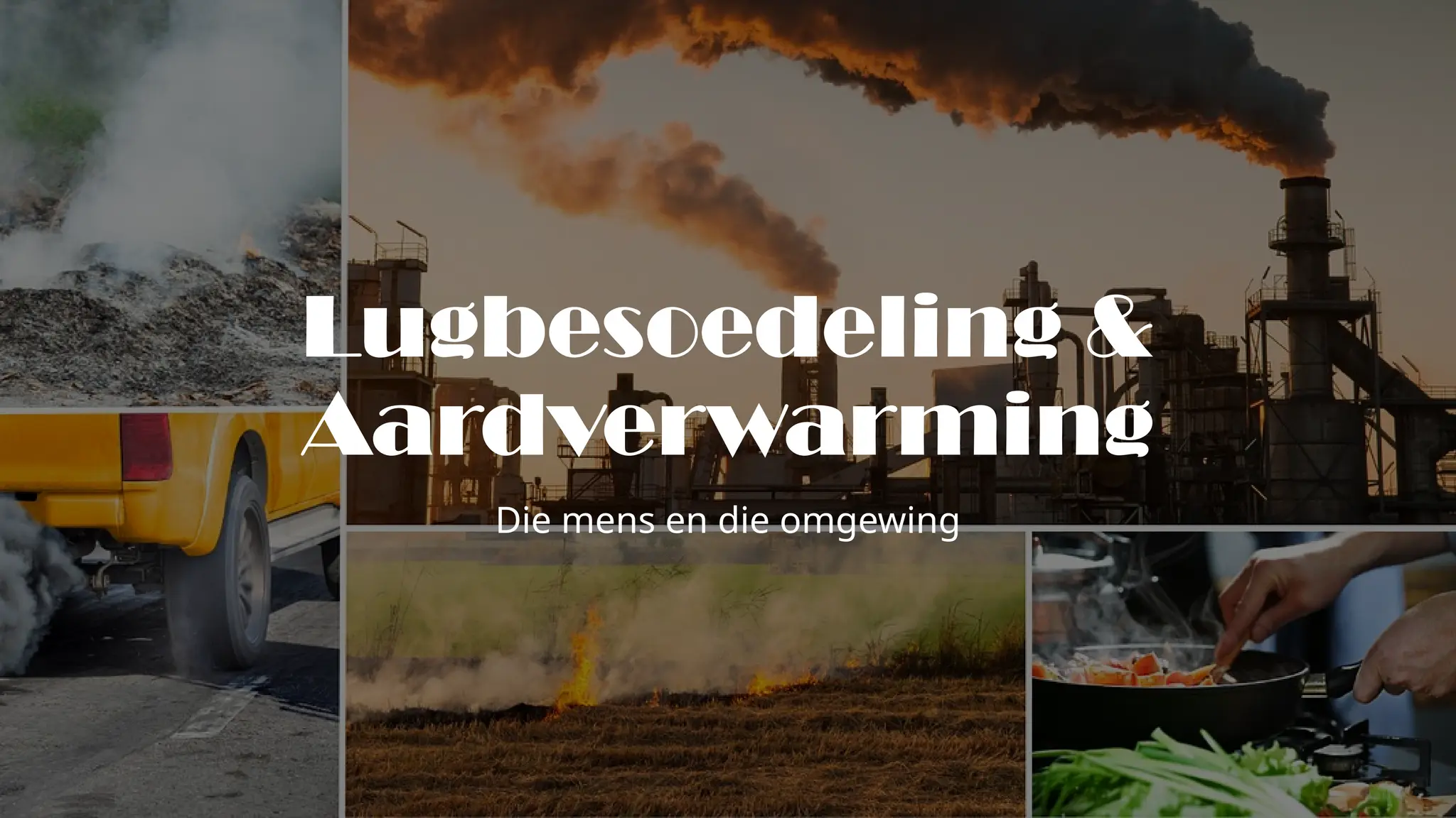 Lugbesoedeling, Lewenswetenskap Taak Graad 10 | PPTX