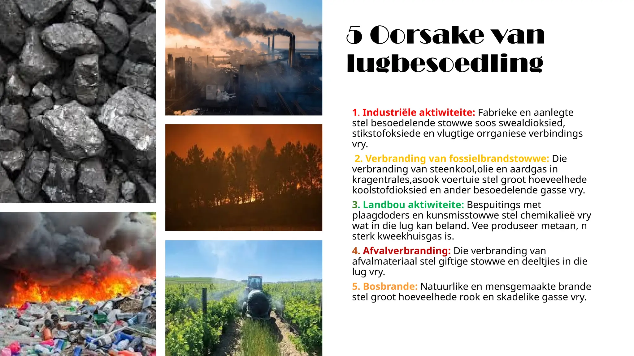 Lugbesoedeling, Lewenswetenskap Taak Graad 10 | PPTX