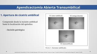 Apendicectomia transumbilical abordaje minimo | PPTX