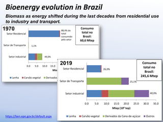 Biofuels: some facts and prospects, Luiz Horta Bioenergía.pdf